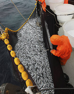 Letter from Tony Long, director, WWF European Policy Office to all 27 ...