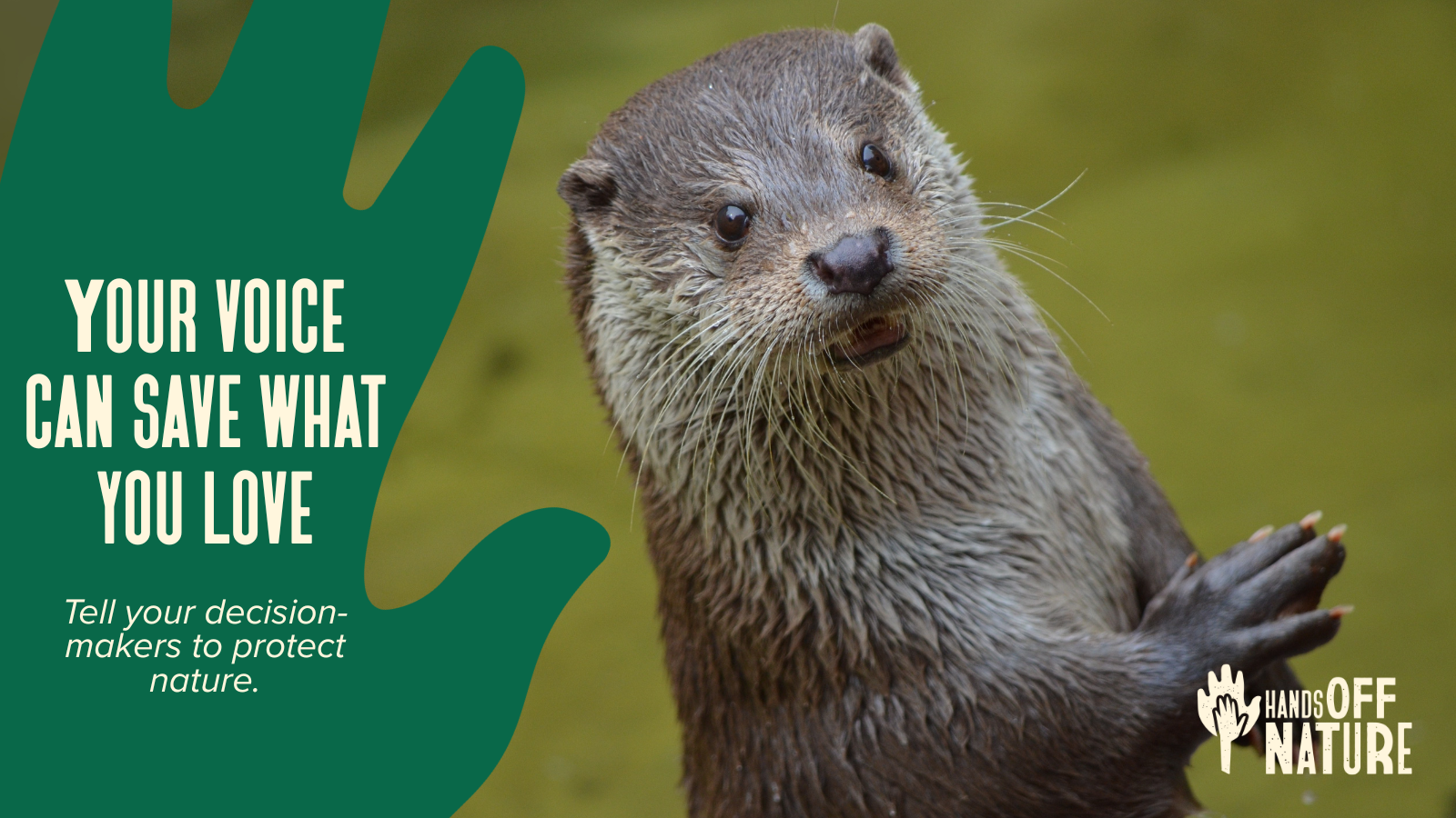 Hands off nature: nearly 200,000 citizens say no to weakening EU ...