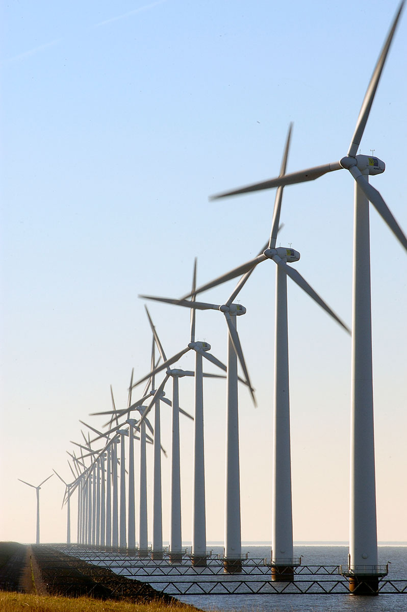 WWF ranks ‘green power’ of electric companies | WWF