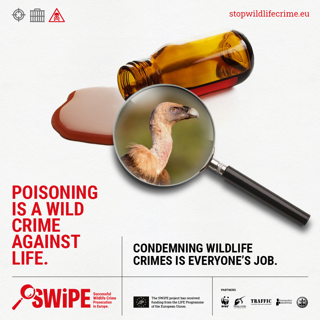 New report shows the importance of discouraging wildlife crimes in ...