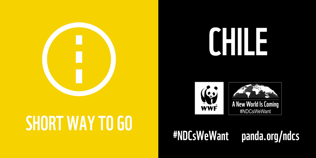 Chile | WWF