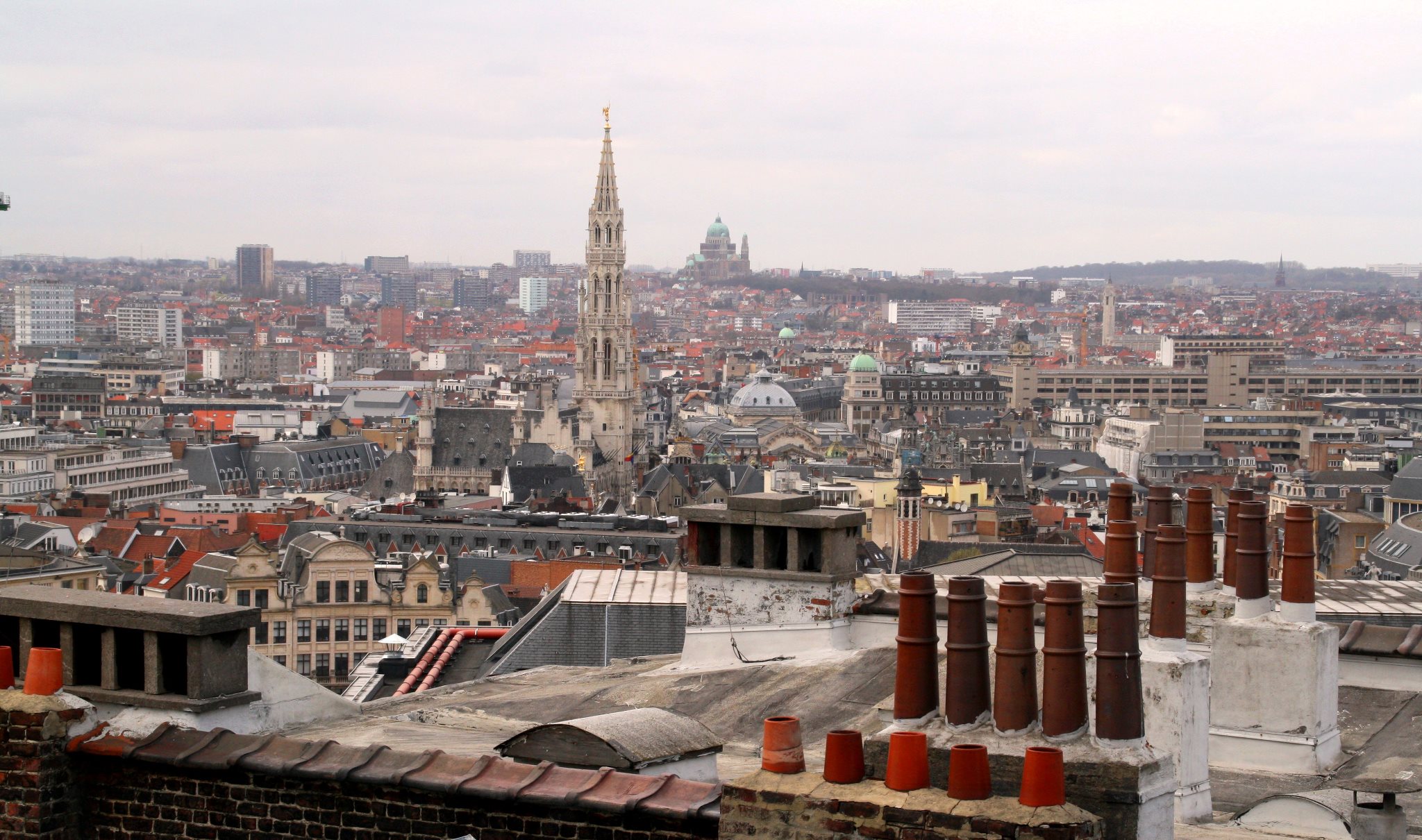 EU leaders ask for long-term climate strategy | WWF