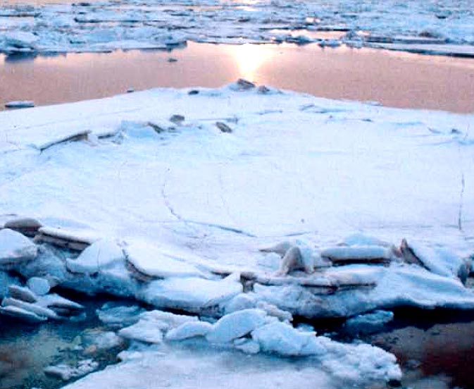 EU must deliver on expectations at UN climate talks | WWF