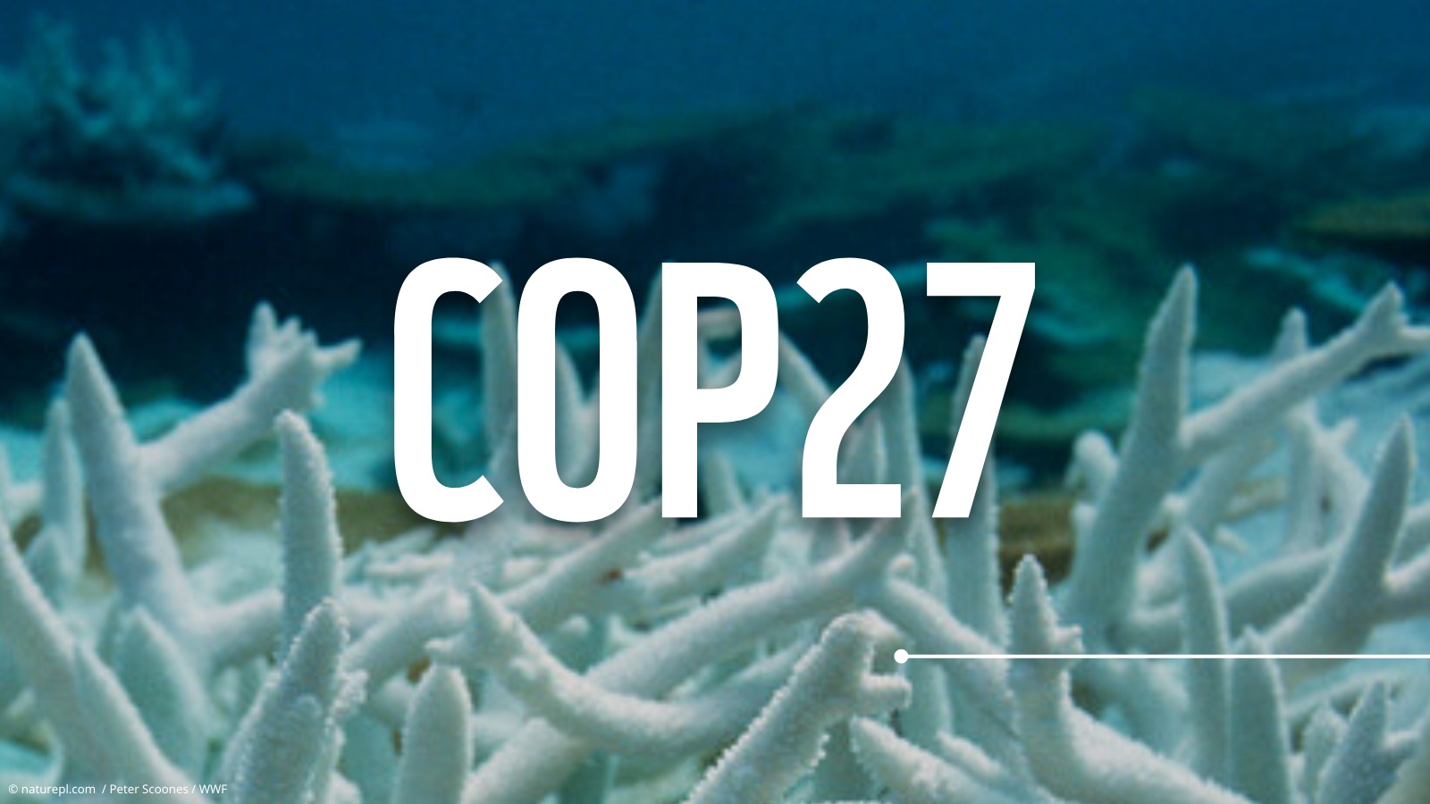 COP27: Κρίσιμη στιγμή για πρόοδο και αποφάσεις | WWF