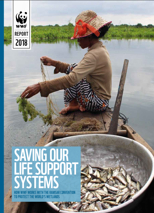 Wetlands, our life support systems, need more than drip-by-drip ...