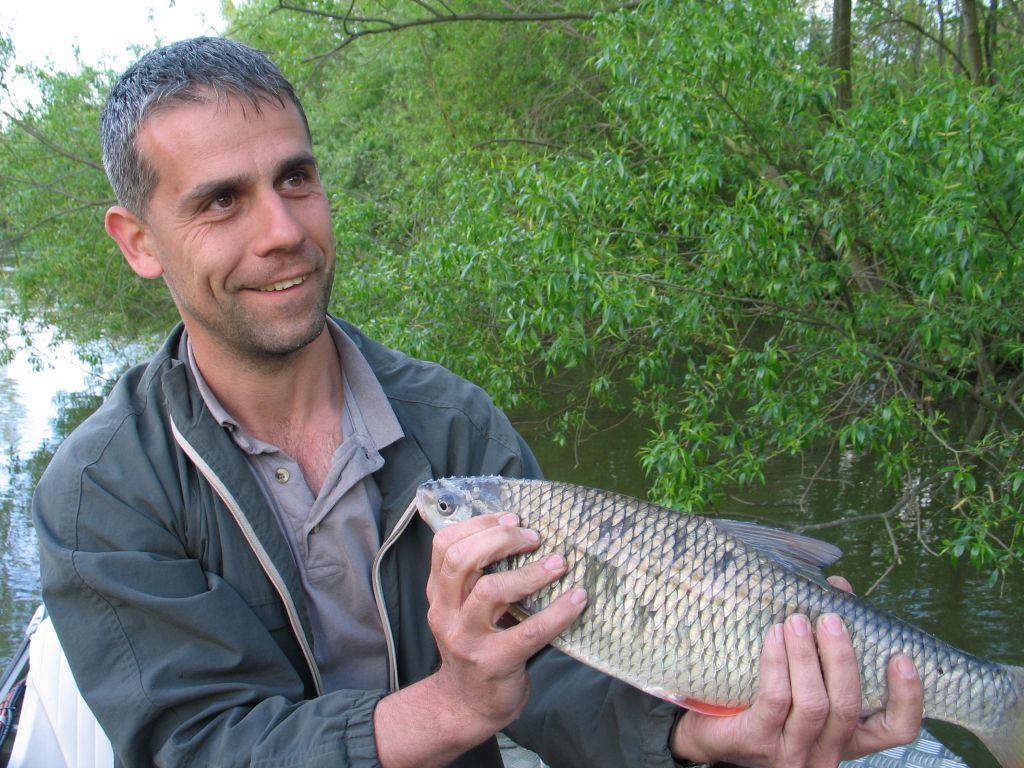 The Danube: bluer day by day, thanks to regional cooperation | WWF