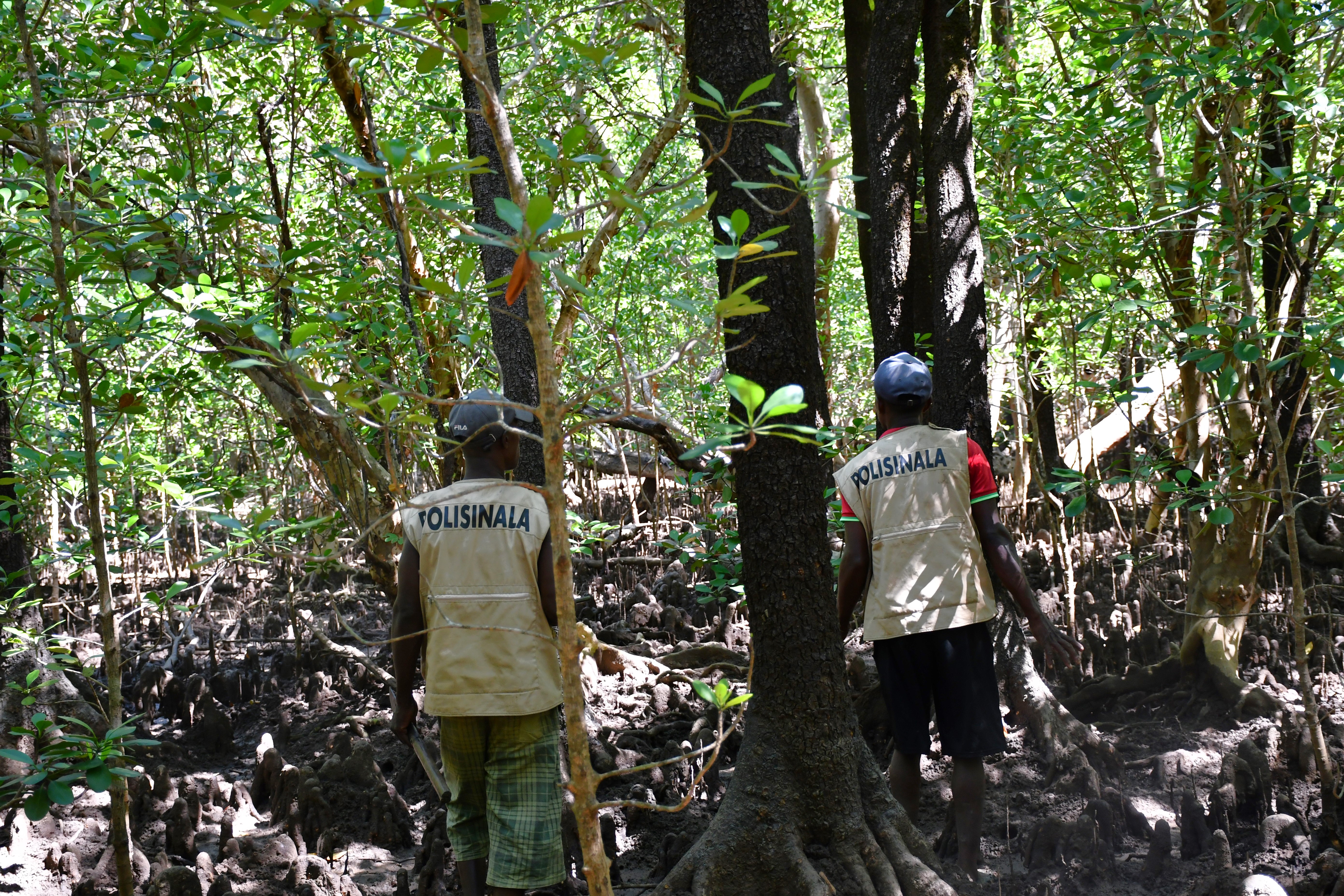 Community patrols in Ambaro Bay go digital with the SMART Mobile App | WWF