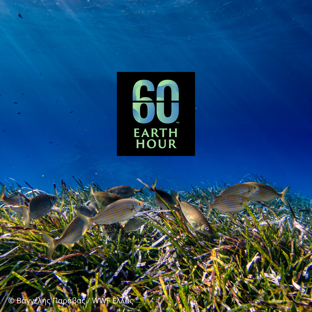 ΩΡΑ ΤΗΣ ΓΗΣ 2025 | WWF