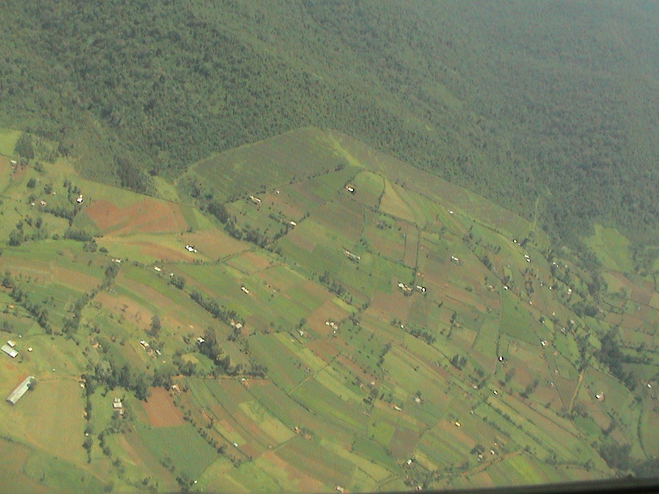 The Mau Forest Complex and Catchment Basin | WWF