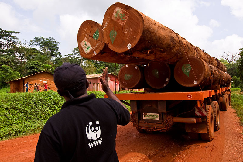 Living forests for a living planet | WWF