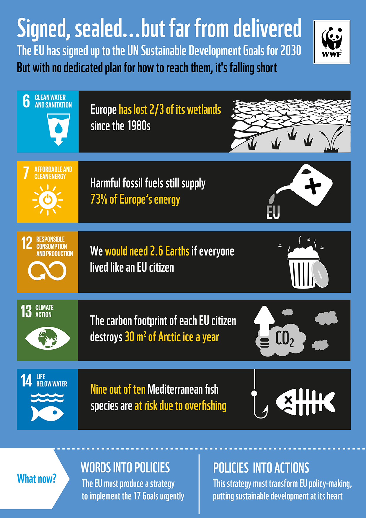 A Plan for the Future: How Strong Strategies Can Bring a More ...