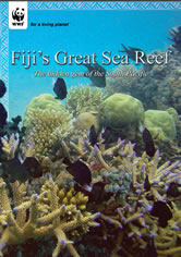 Fiji's Great Sea Reef: The hidden gem of the South Pacific | WWF