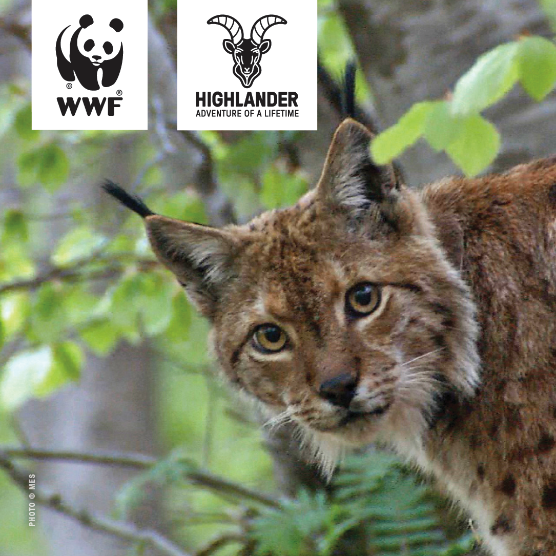 WWF & HIGHLANDER: A Partnership For Devoted Nature Conservation | WWF