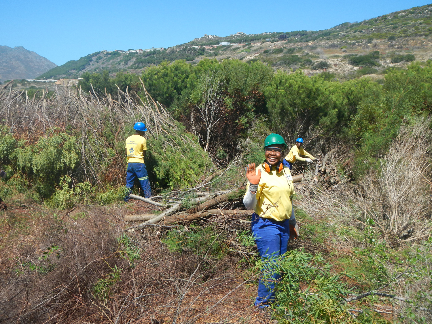 Nature Hires: How nature-based solutions can power a green jobs ...