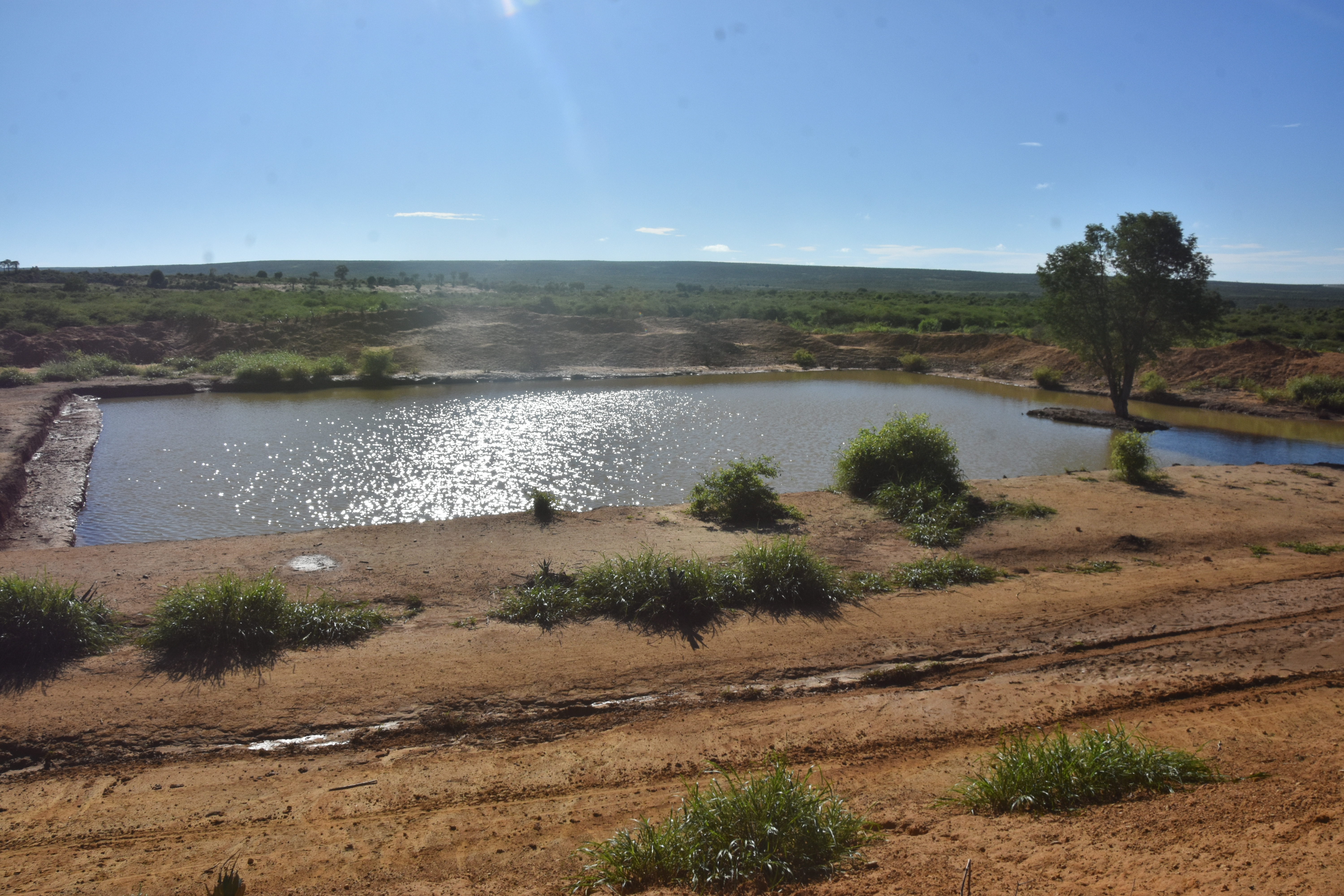 Impluviums : sources d’eau pour le reboisement des forêts de Mahafaly | WWF