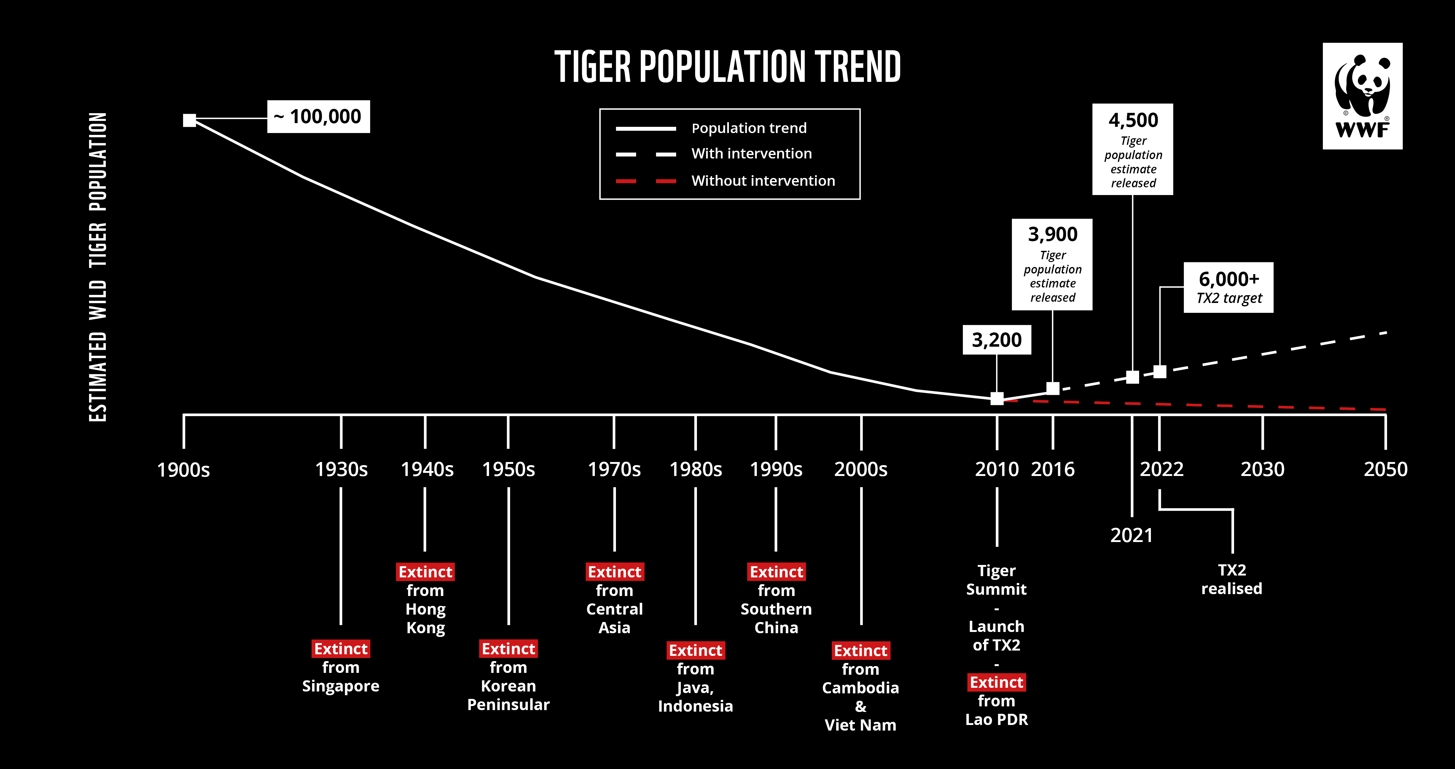 10 things you need to know happened in the Year of the Tiger | WWF