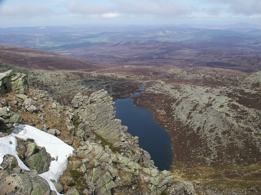 Trout on Queen’s Scottish estate contaminated by flame retardant ...