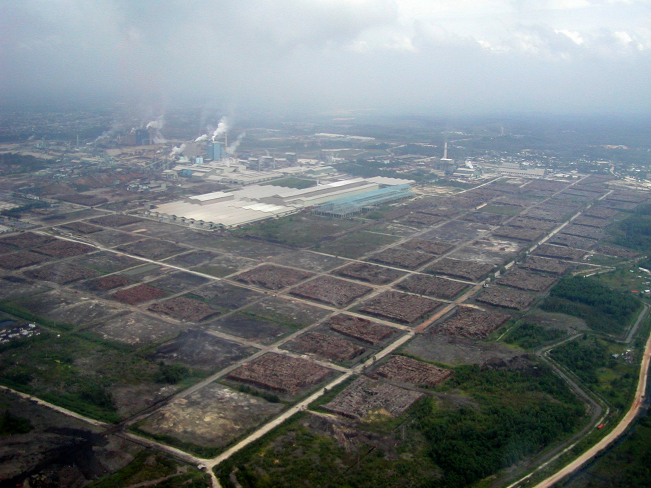 WWF queries IFCC/PEFC certification of Indonesian pulp plantations | WWF