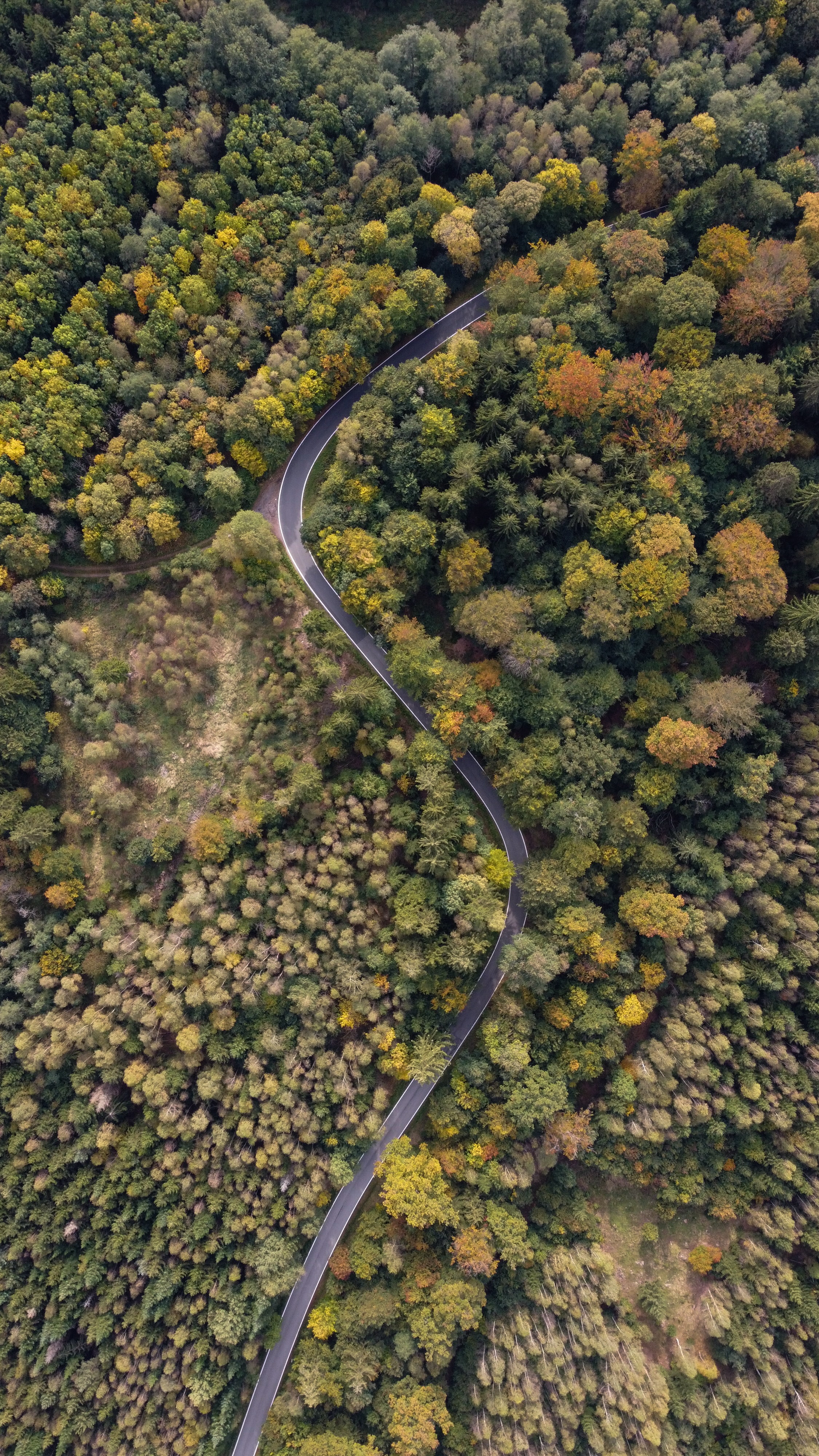 8th Environmental Action Programme: The EU's To-Do-List for immediate ...
