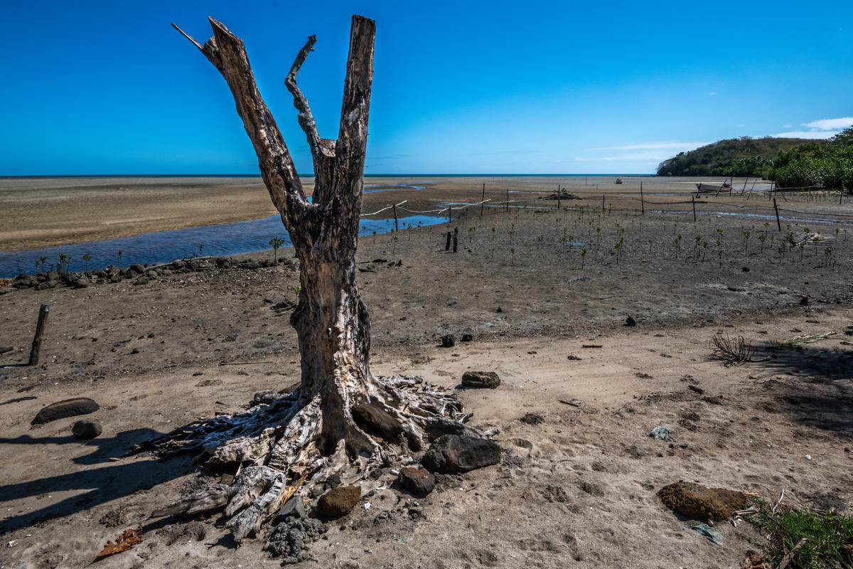 Светът вече се е затоплил с 1,4°C, предупреждават учени | WWF