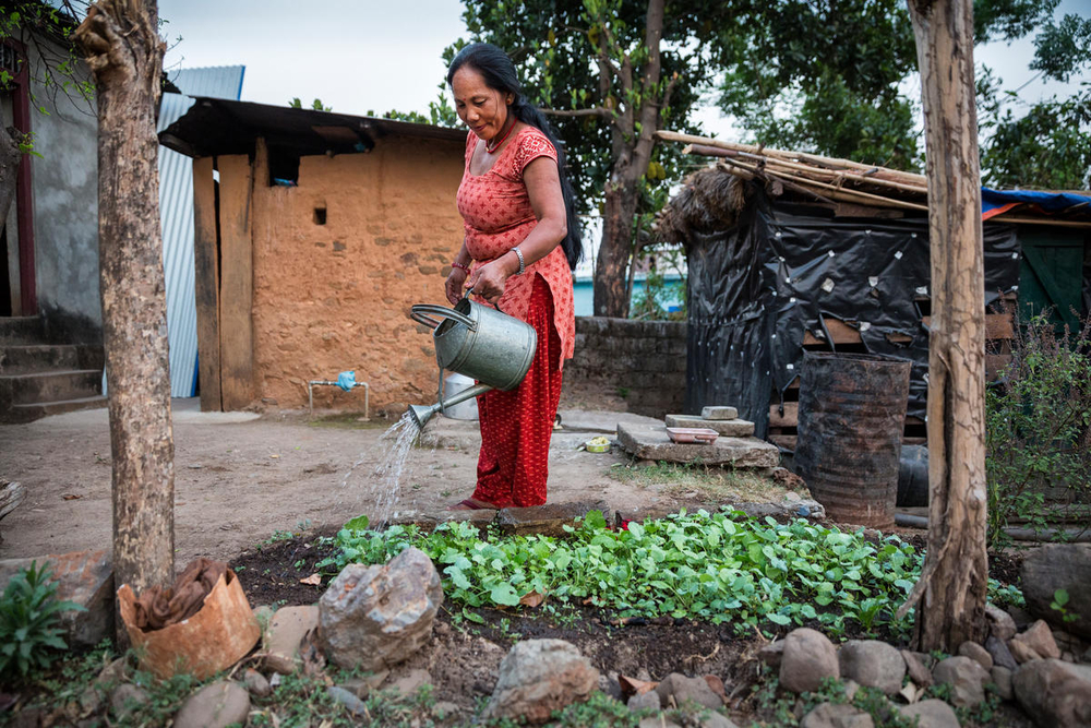 WWF, along with 54 organisations, urges the EU to enhance international ...