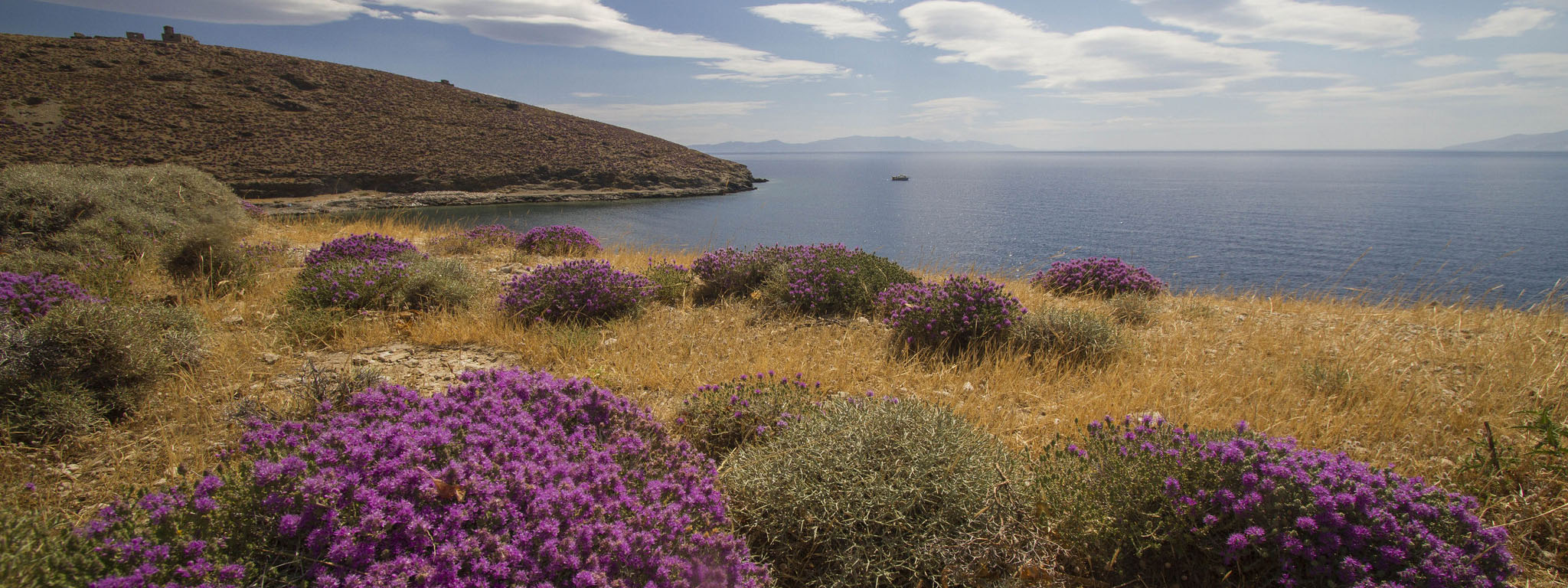 Πρόσκληση για κατάθεση οικονομικής και τεχνικής προσφοράς για εικονική ...