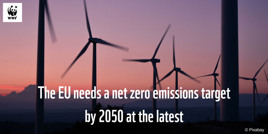 EU climate momentum can be ramped up as ministers meet | WWF