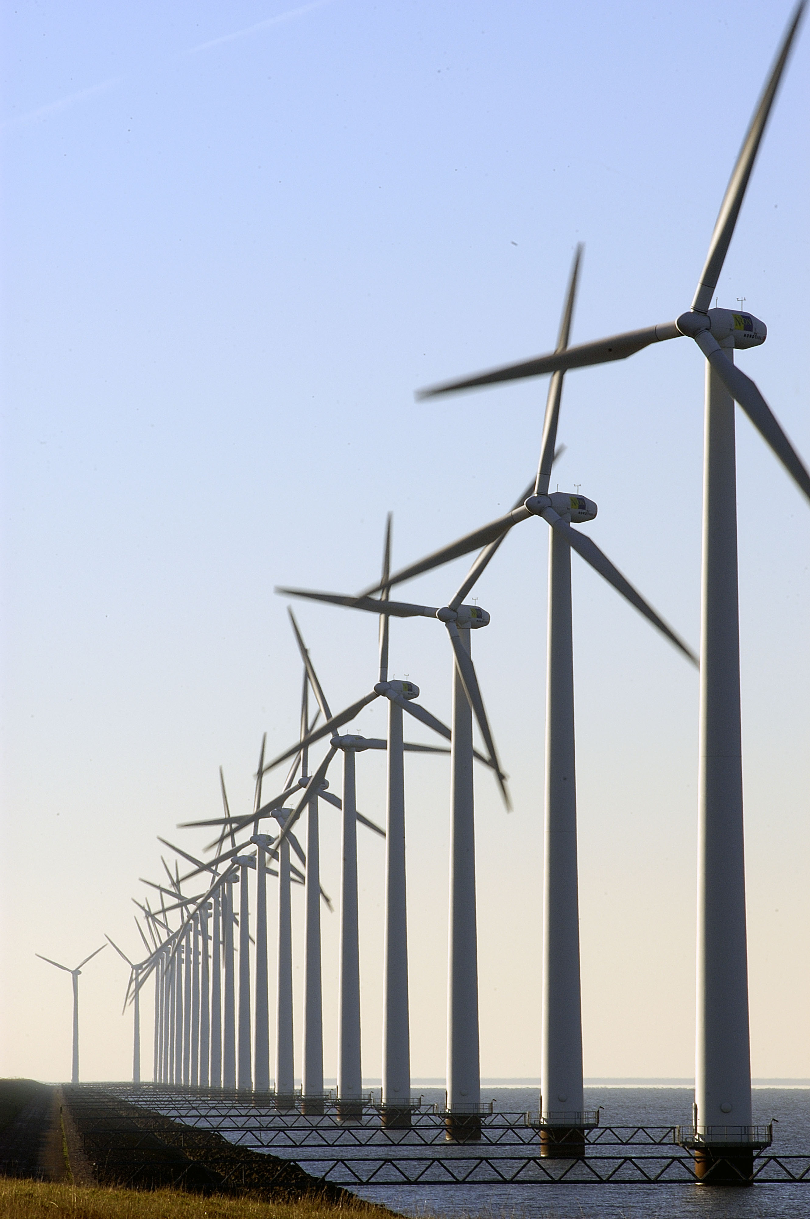Green refinancing operations: helping the ECB keep prices stable | WWF
