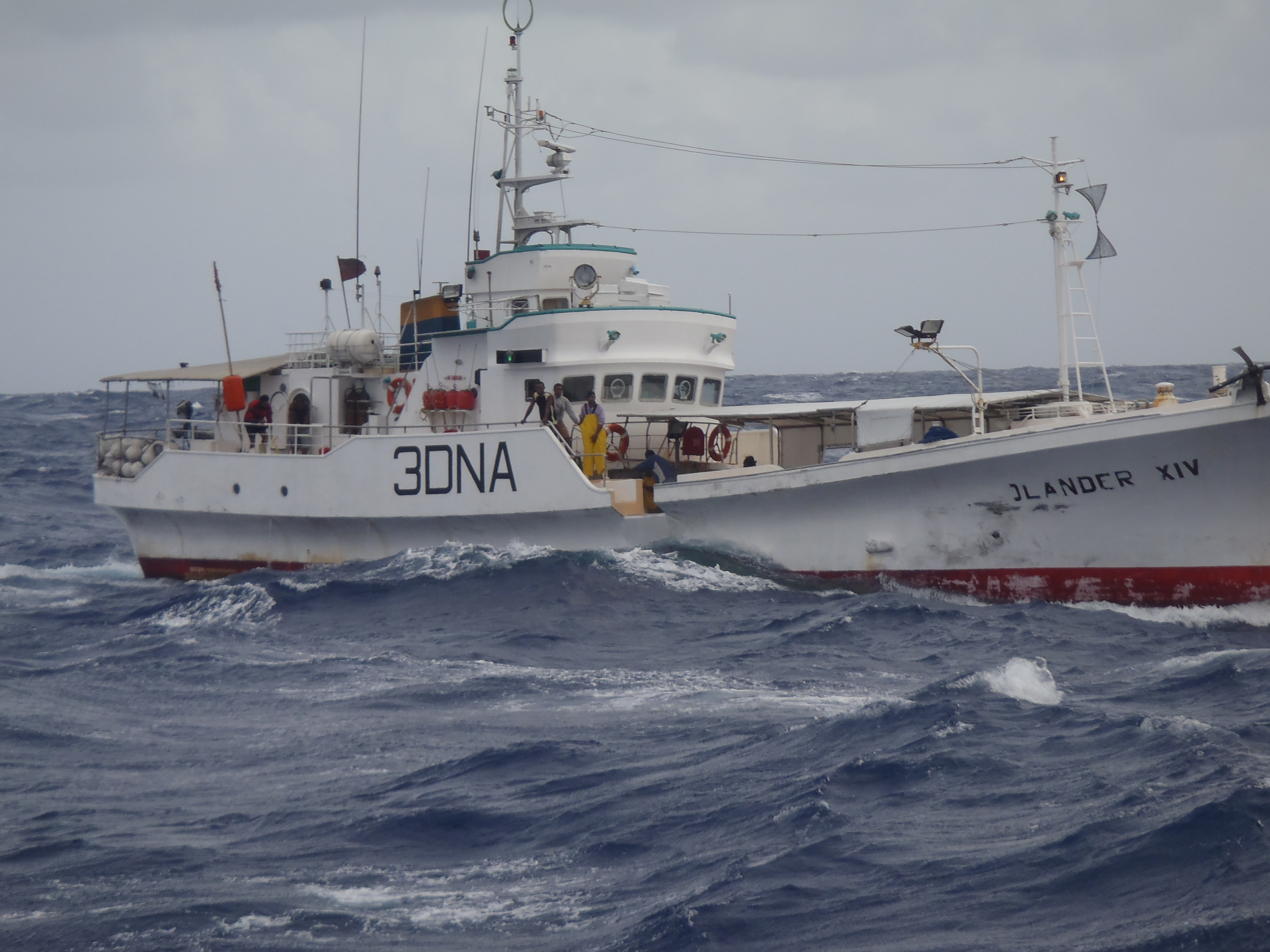 Sustainable Seafood Series - Slice from the Solander | WWF