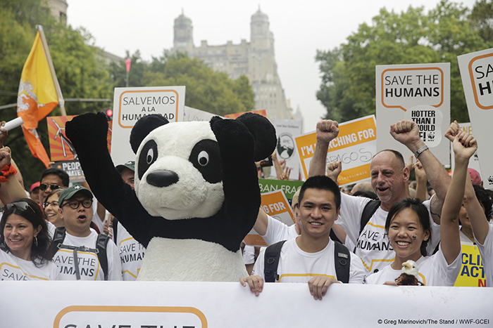 WWF calls for action from global leaders at UN Climate Summit | WWF