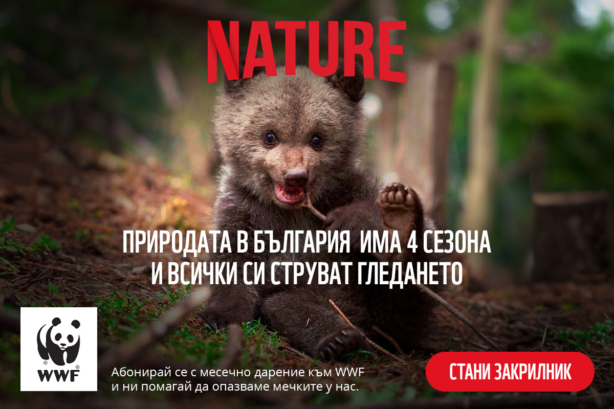 Природата има четири сезона и всички си струват гледането | WWF