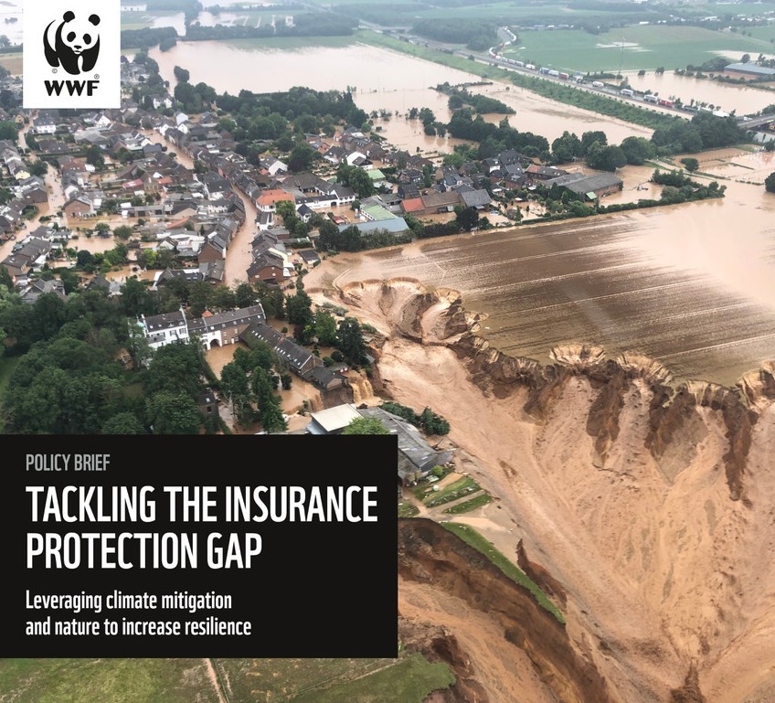 Failing on climate and nature could make economies uninsurable | WWF