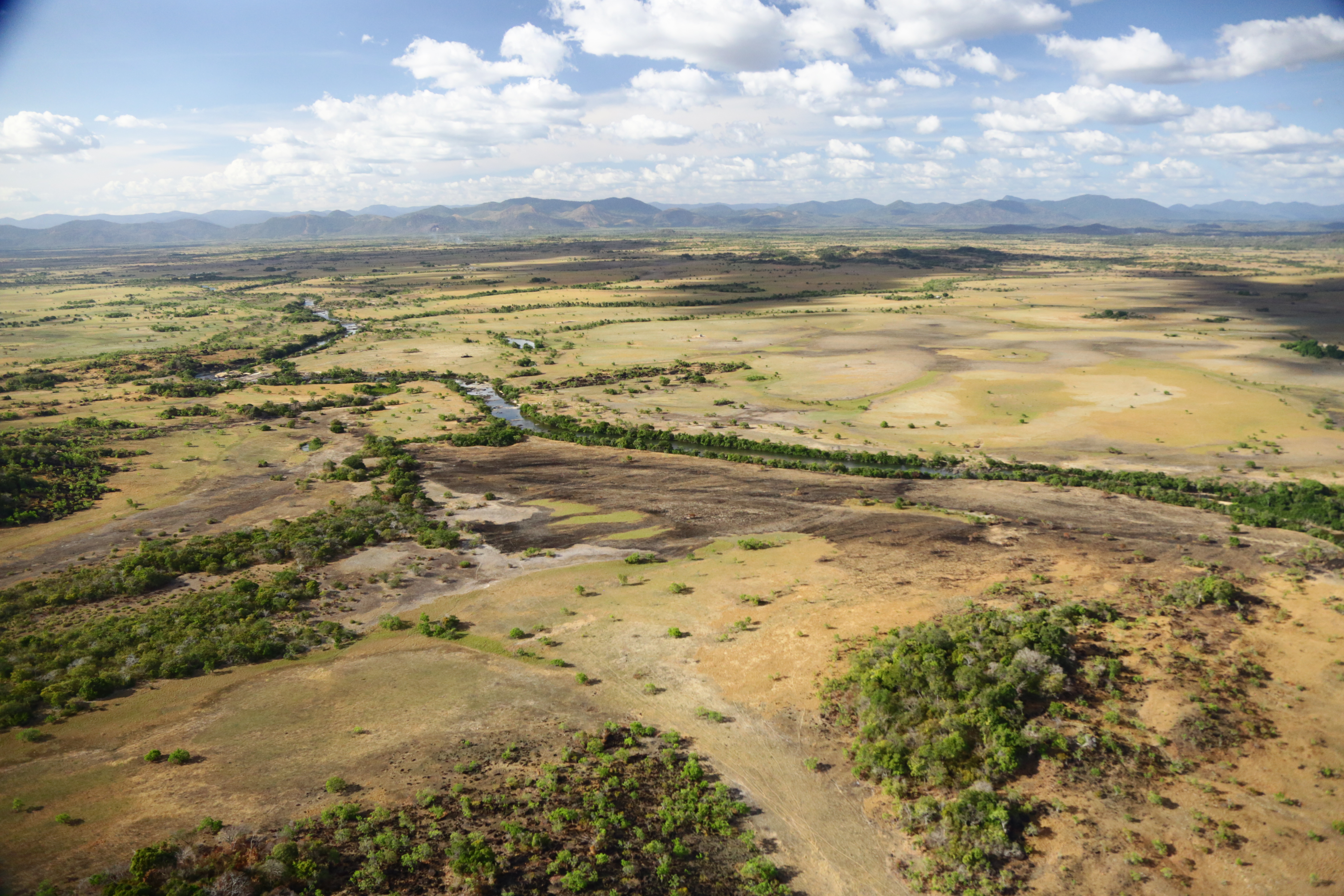 Biodiversity Assessment Team (BAT) Survey Report on the South Rupununi ...