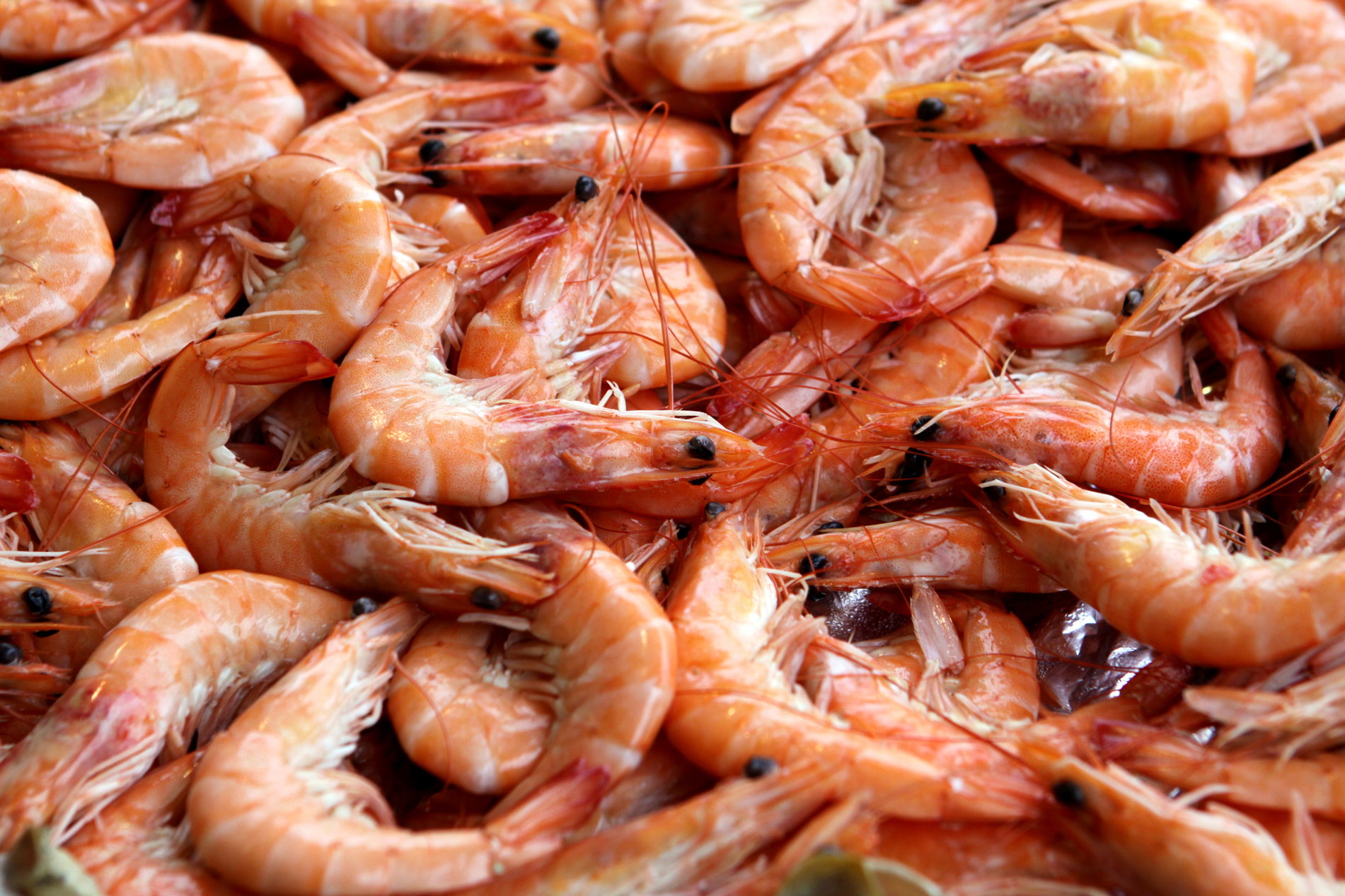 Vietnam has the first shrimp farm in Asia certified to Aquaculture ...