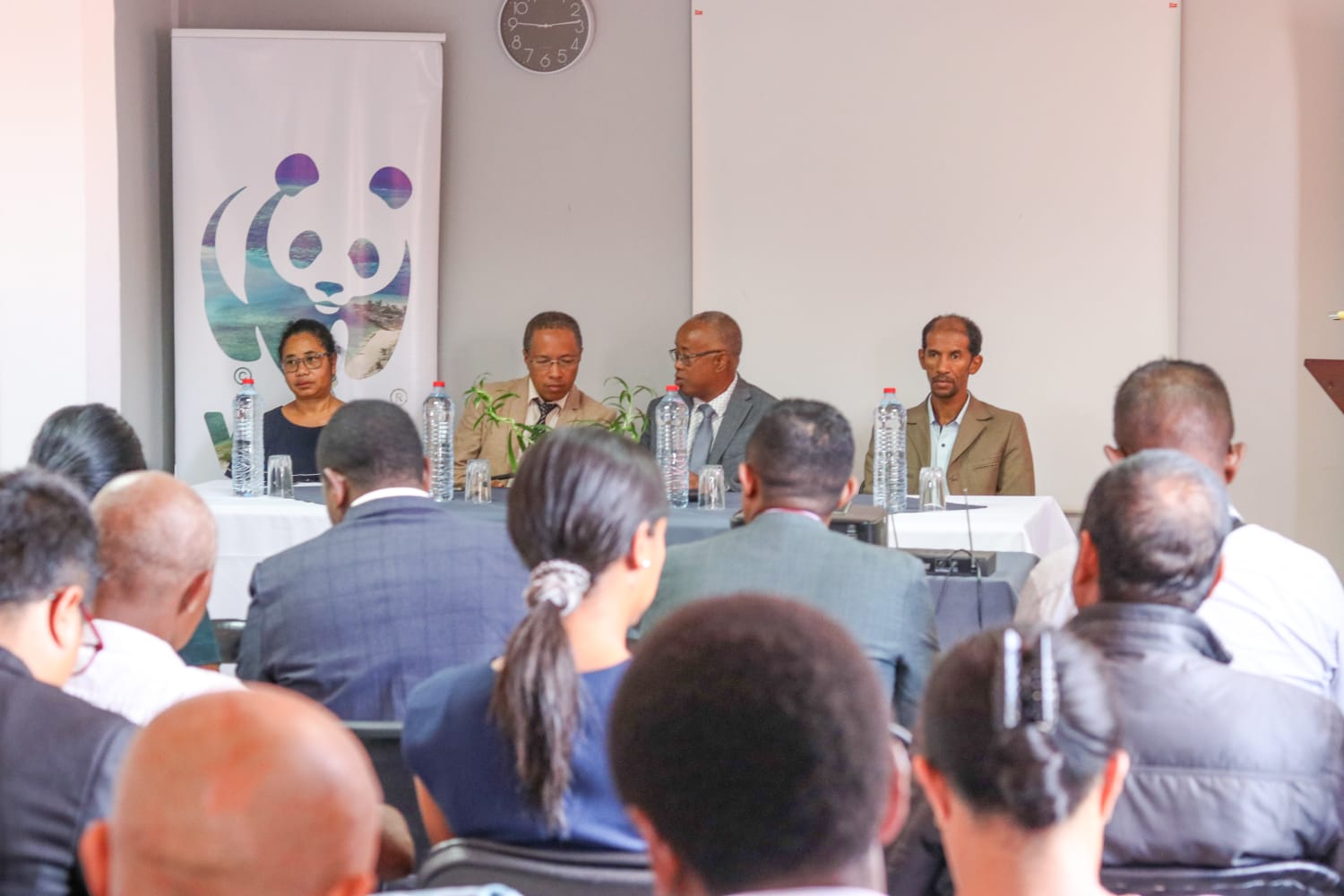 Reforestation: implementation of the "reforestation information system ...