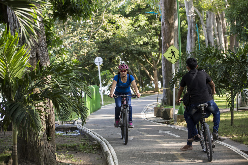 Cities must be ground zero for clean air | WWF