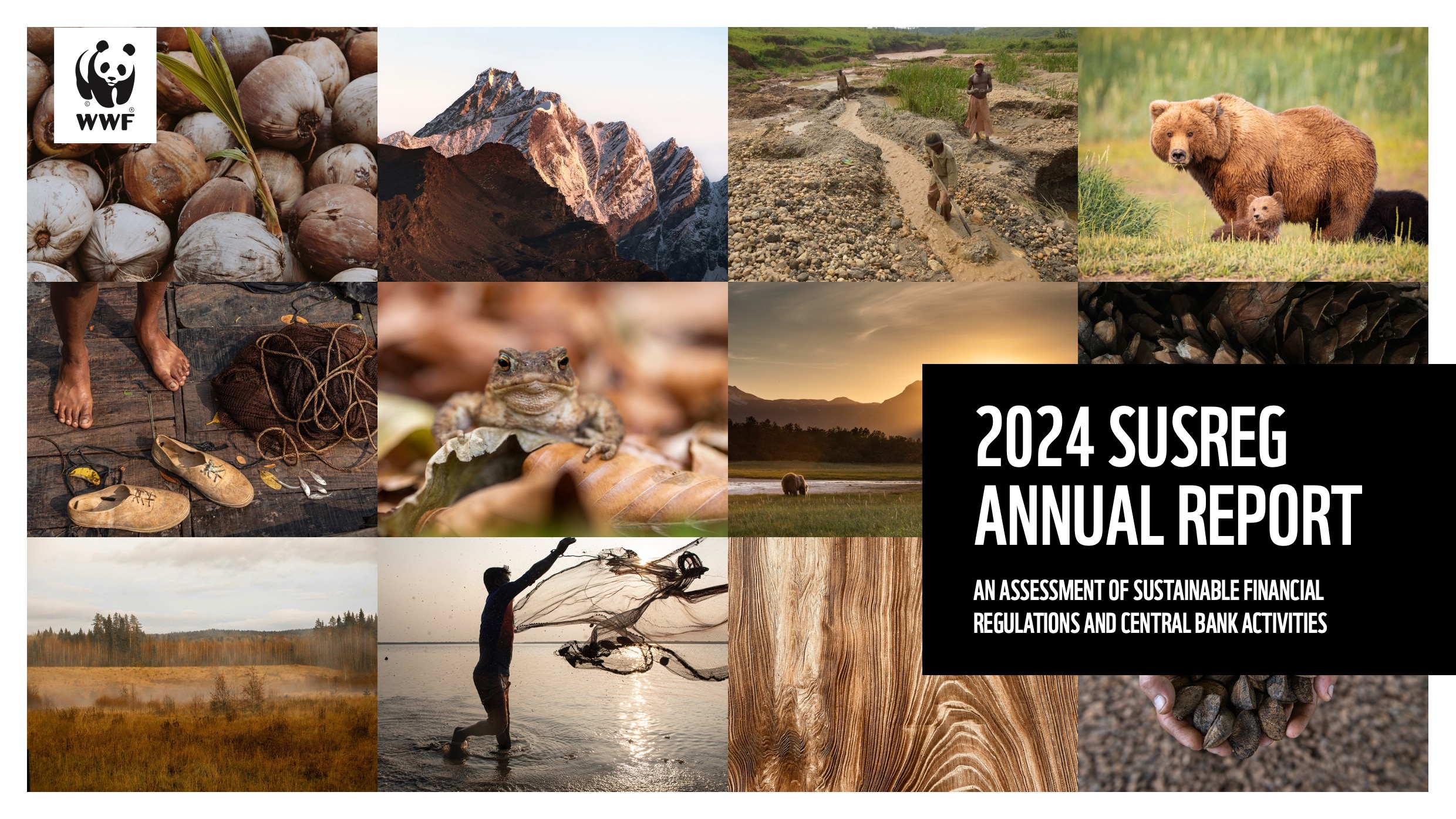 WWF SUSREG 2024: Despite progress on climate in banking and insurance supervision, nature loss ...