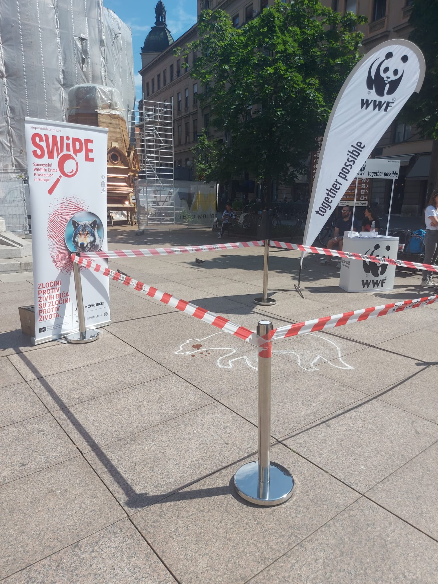 HOWL OF THE WILD: Bear carcass in the middle of Zagreb for the ...