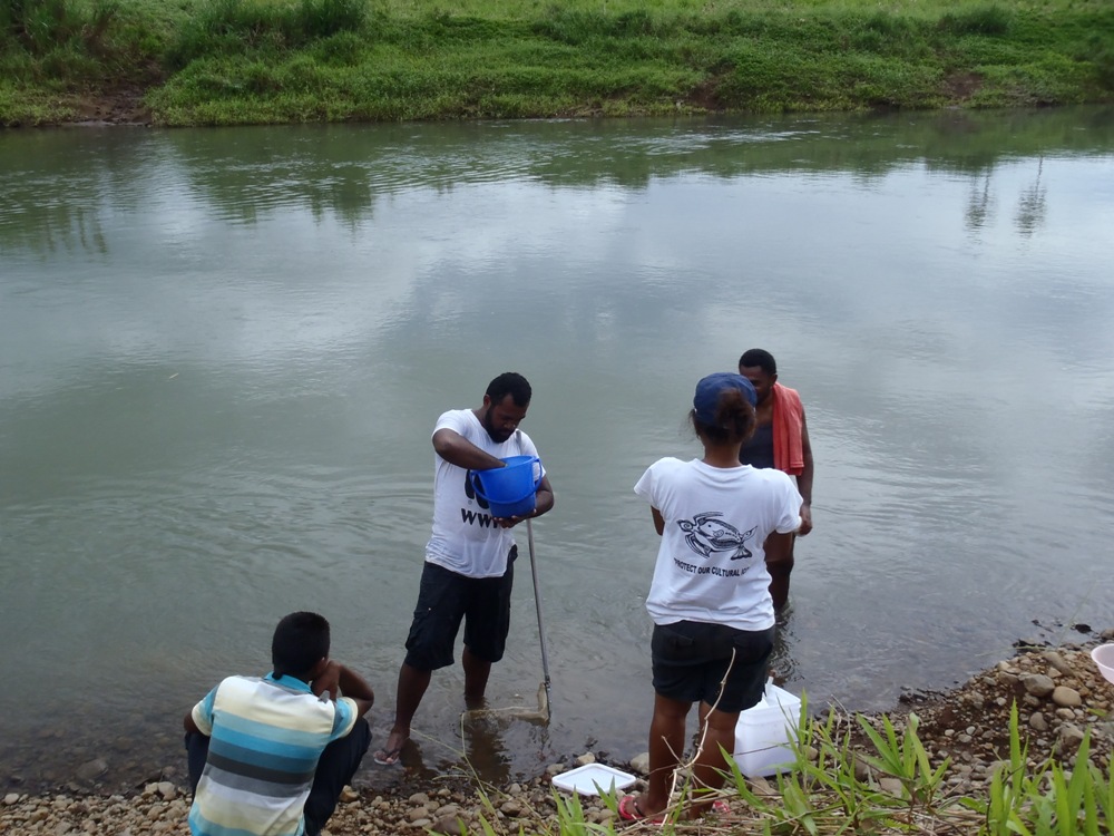 BLOG: FNU Labasa Freshwater Survey Part 2 | WWF