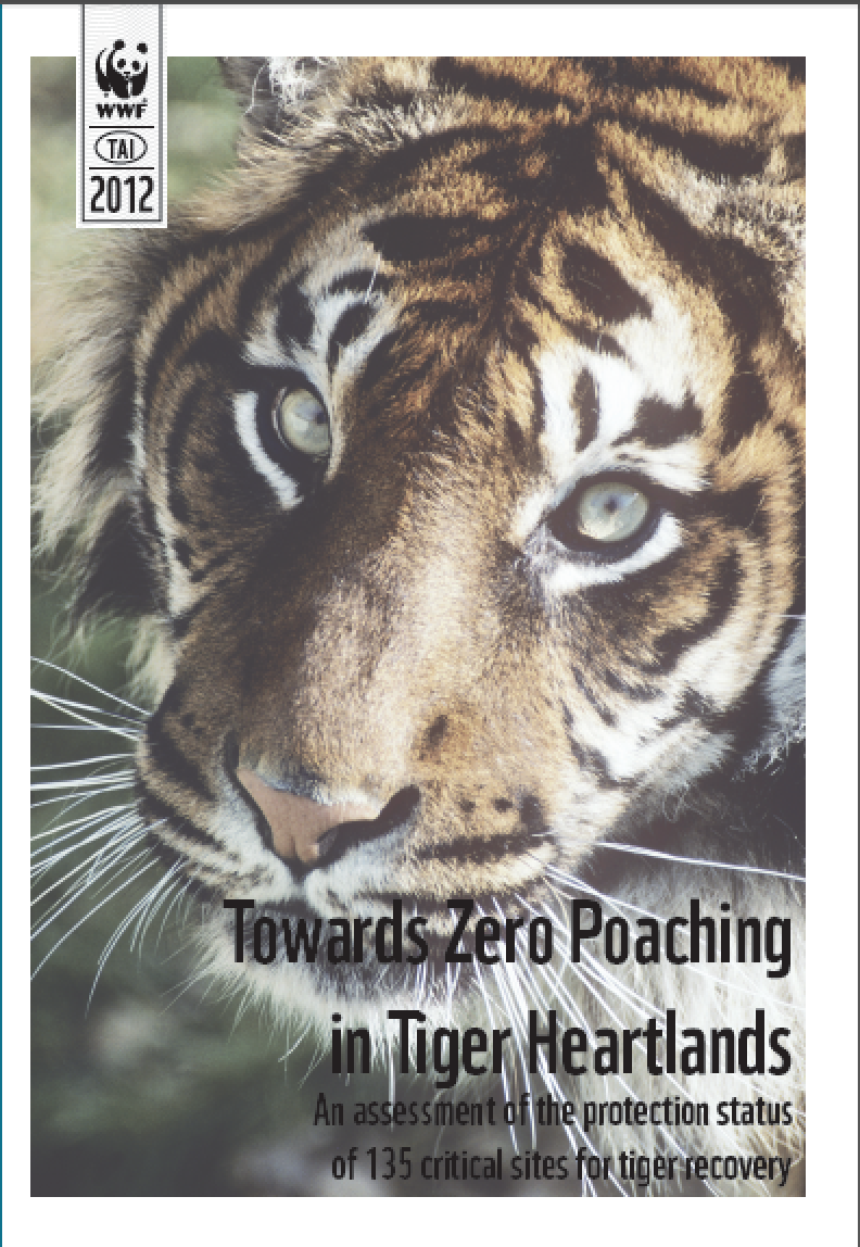 Poaching still biggest threat to recovery of world’s tiger populations ...