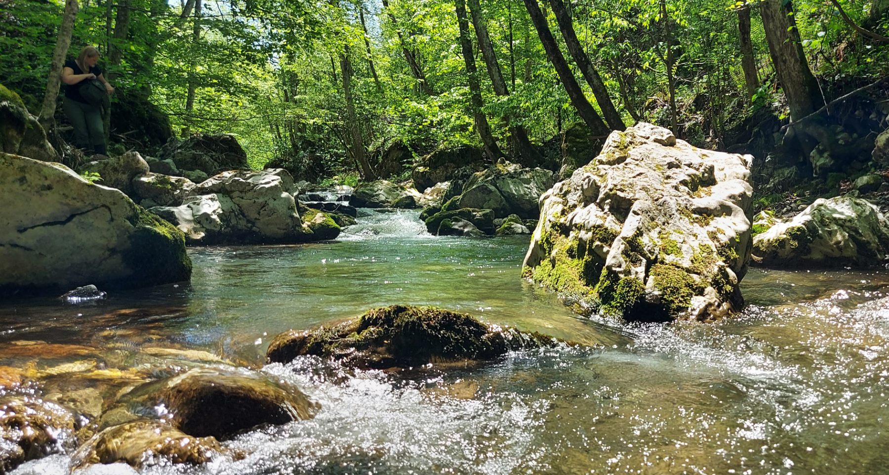 Reke koje ne poznaju granice | WWF