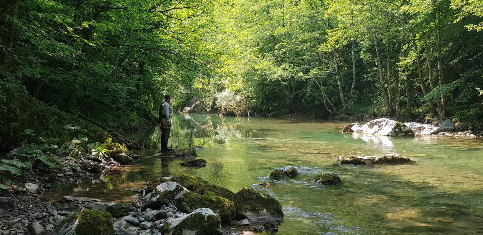 Korak bliže proglašenju Specijalnog rezervata prirode „Veliki Rzav” | WWF