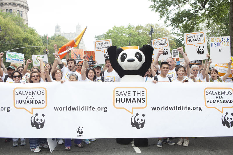 Lima talks to test political will for global climate deal | WWF