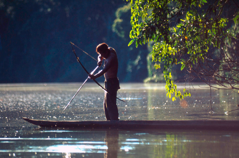 Protecting nature, vital for the well-being of people and the planet | WWF