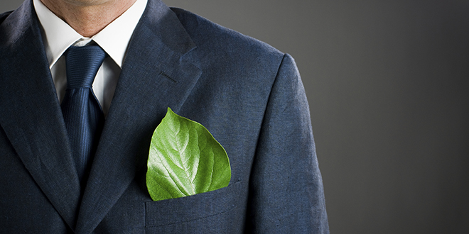 EU reporting rules for companies can help meet Green Deal goals | WWF