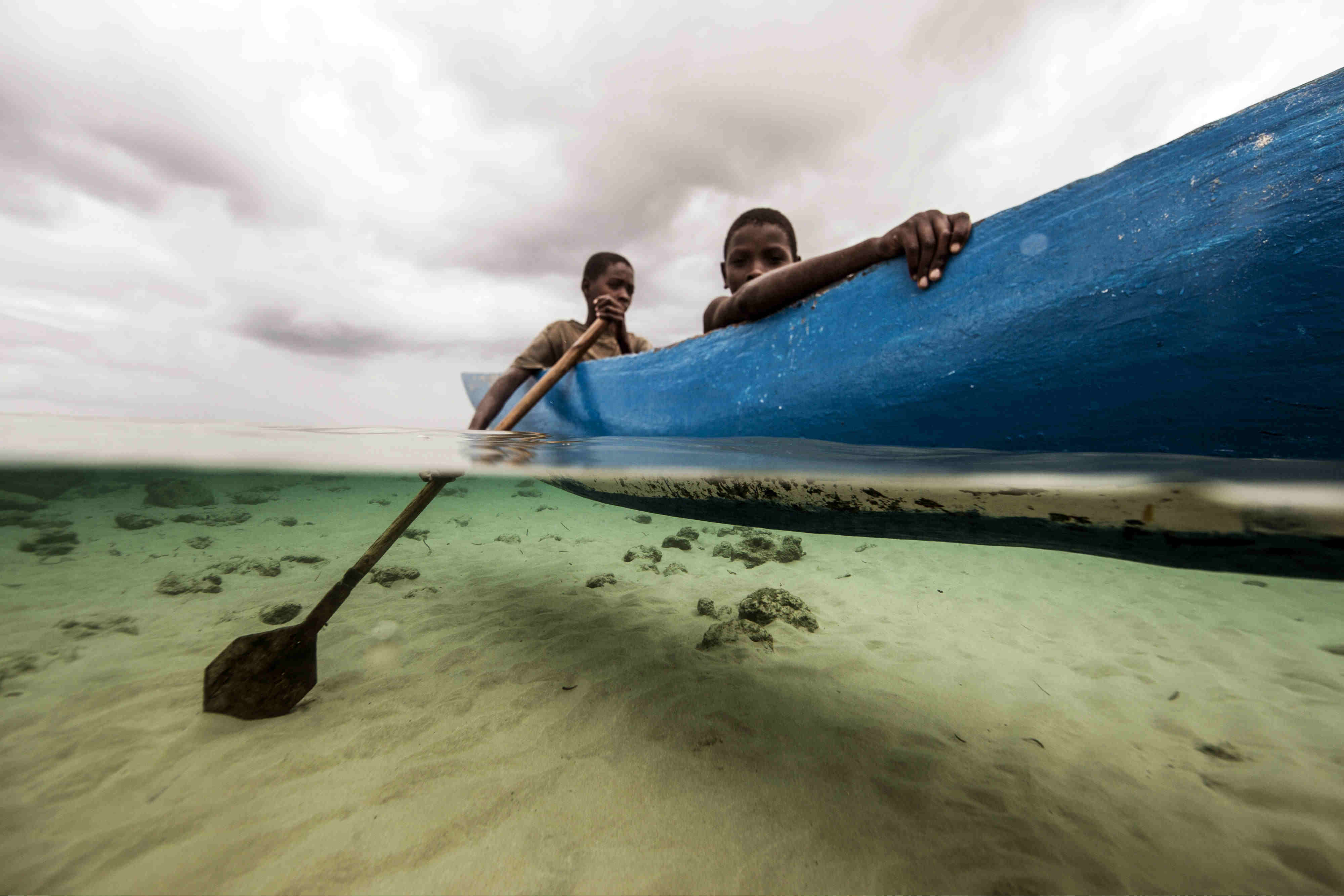 WWF reaction following the adoption of the Sustainable Development ...