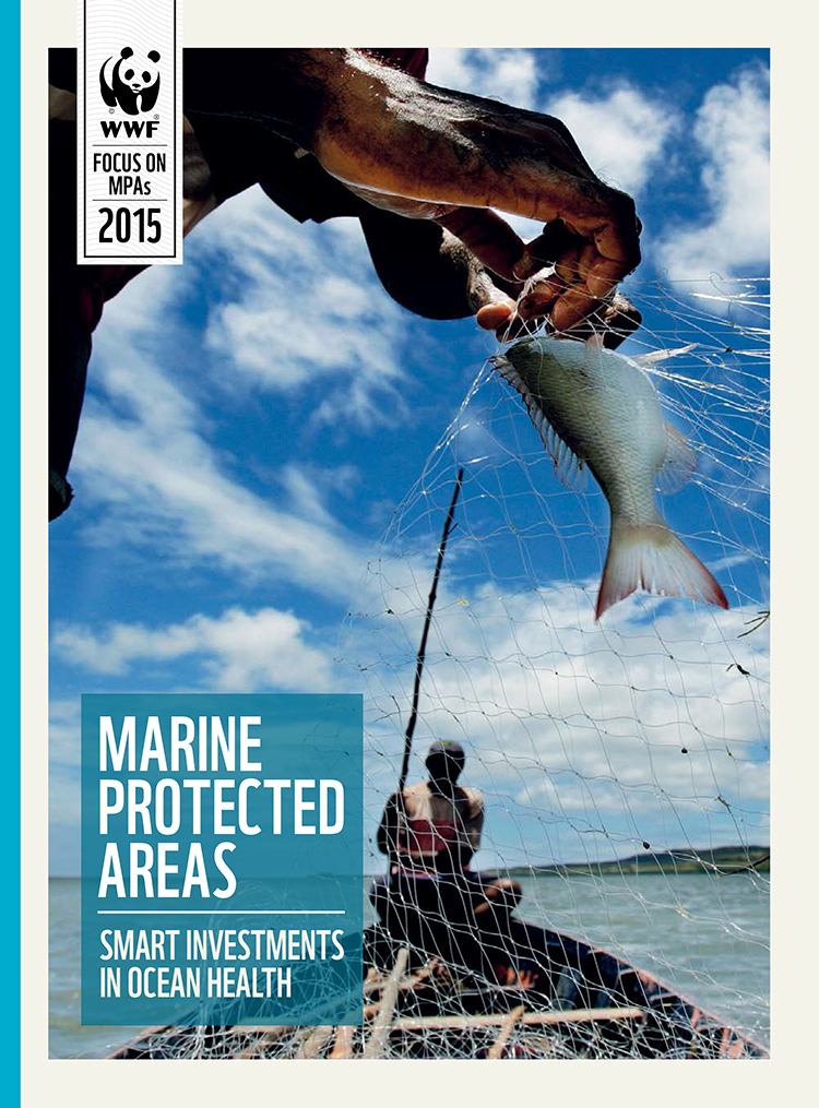 Understanding the ocean's value | WWF