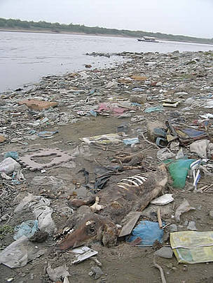 Environmental concerns mount over toxic spill in China | WWF