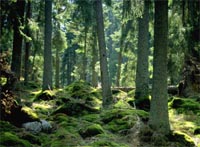 Tetra Pak becomes Climate Saver, signing global cooperation agreement ...
